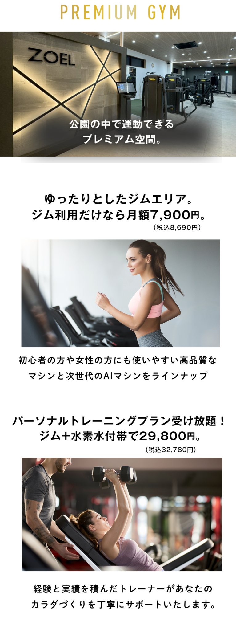 GYM AREA | ZOEL shinsakongawashinsuipark